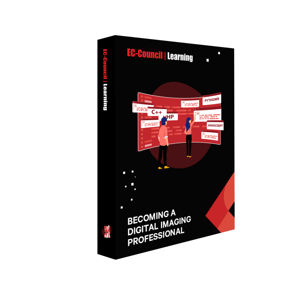 Becoming a Digital Imaging Professional - Indiastore